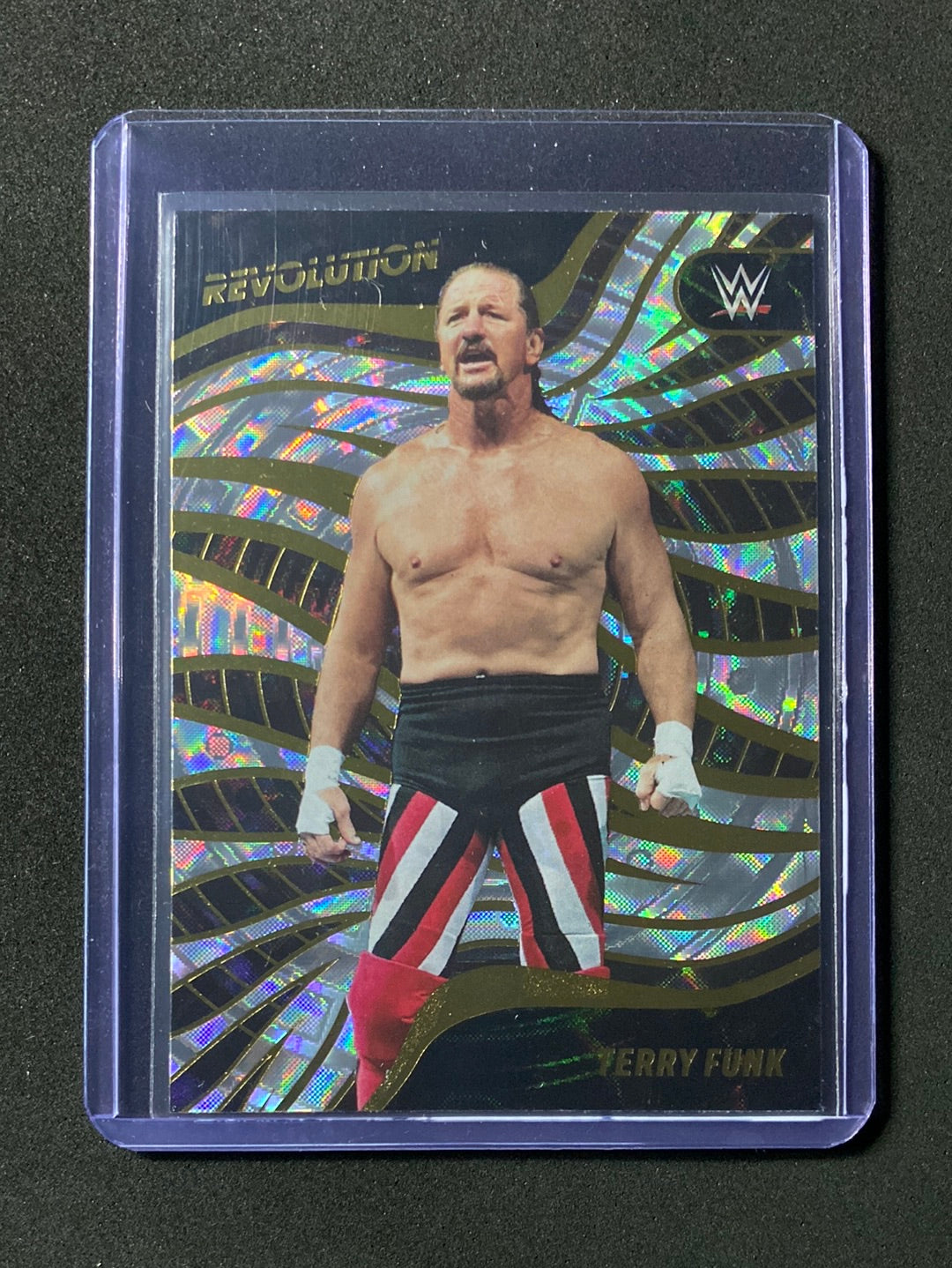 2023 Revolution WWE Terry Funk Fractal #120